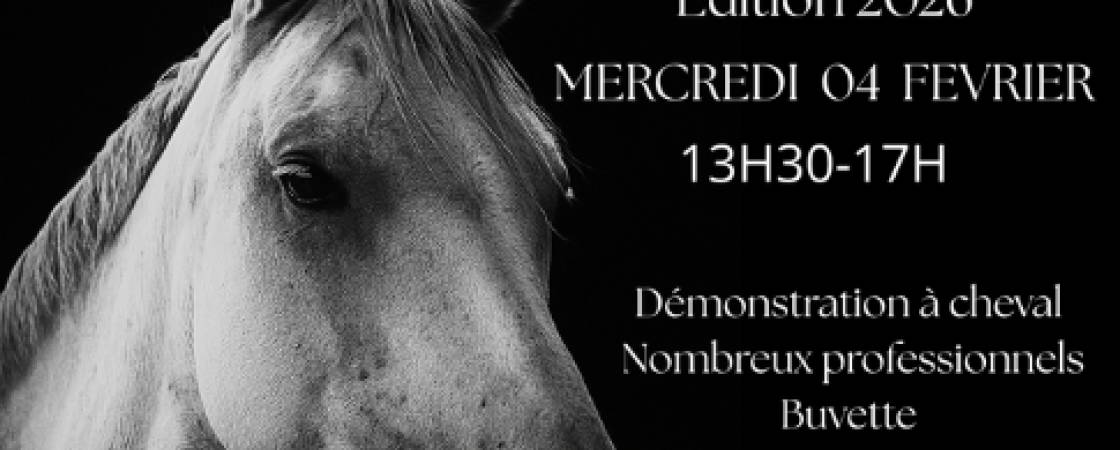 Salon des Métiers du Cheval le 04 février 20 ...